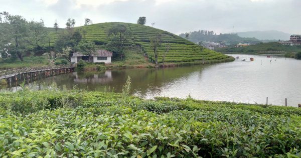 Tea Lake Boating | Blue Bird Travels