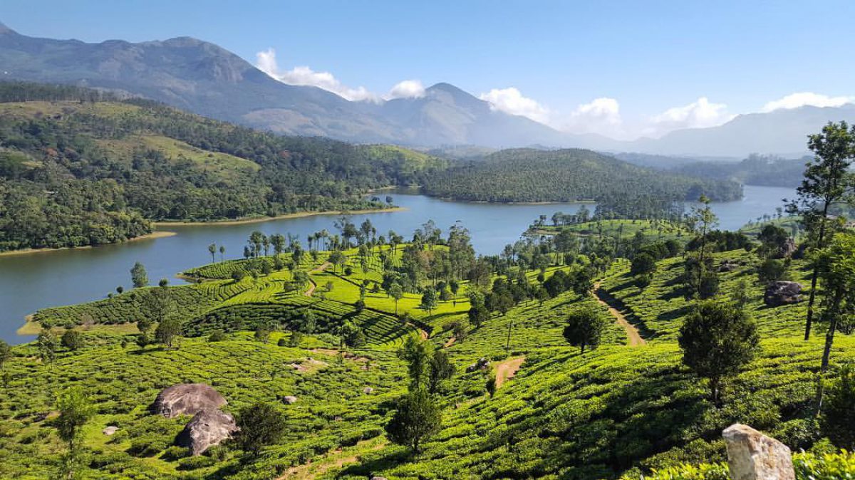 Best time to visit Munnar | Blue Bird Travels
